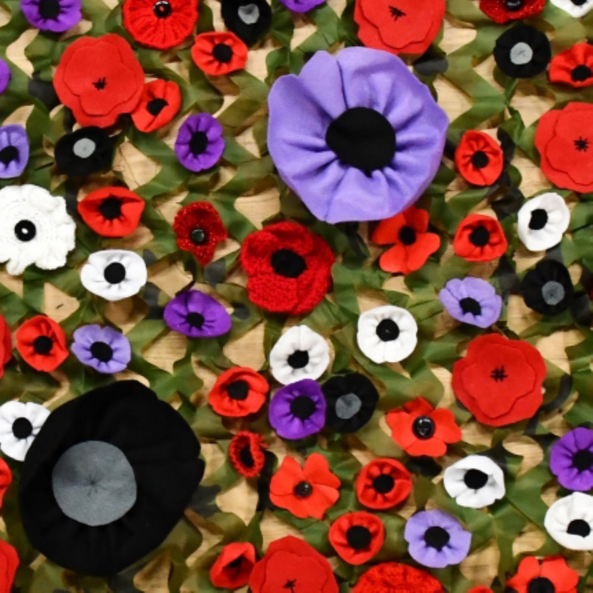 St Edward’s Poppy Project | News | St Edward's School